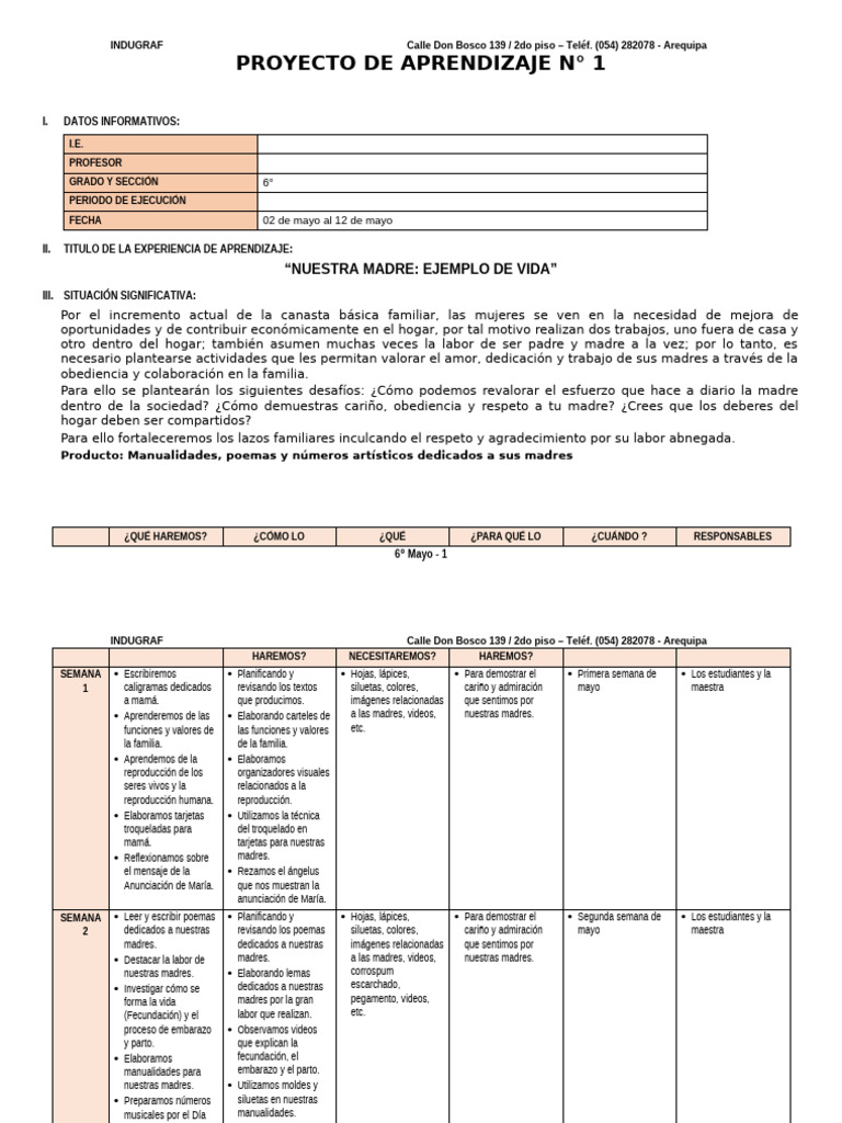 6° Grado - Proyecto de Aprendizaje N°01 | PDF