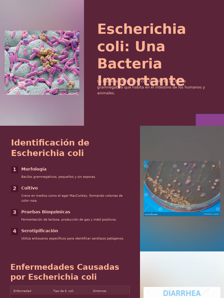 COLI | PDF