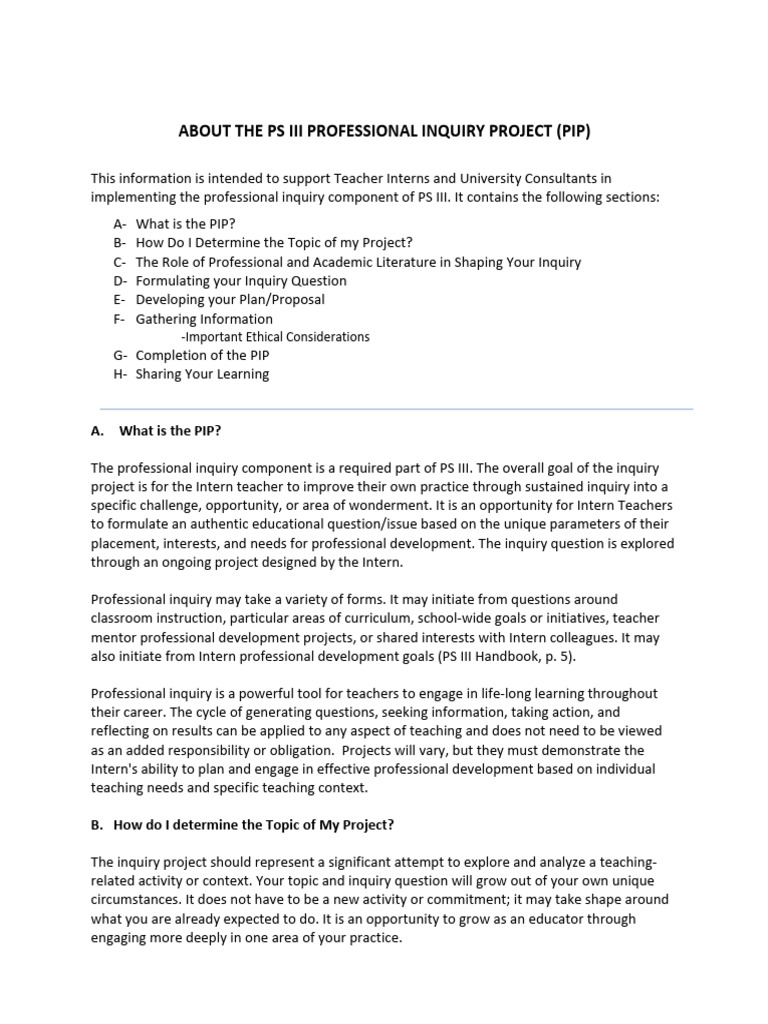 PIP Overview Updated | PDF