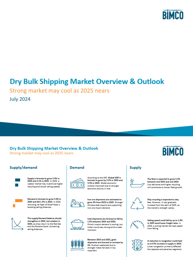 Dry Bulk Shipping Market Overview Outlook July 2024 Full Report | PDF