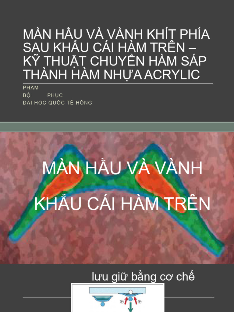 MÀN HẦU VÀ VÀNH KHÍT PHÍA SAU KHẨU | PDF