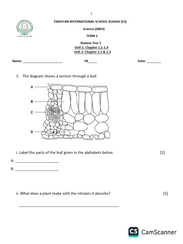 Y8 Science Test 1review Sheet 2023 - 2024 | PDF | Chemical Compounds ...