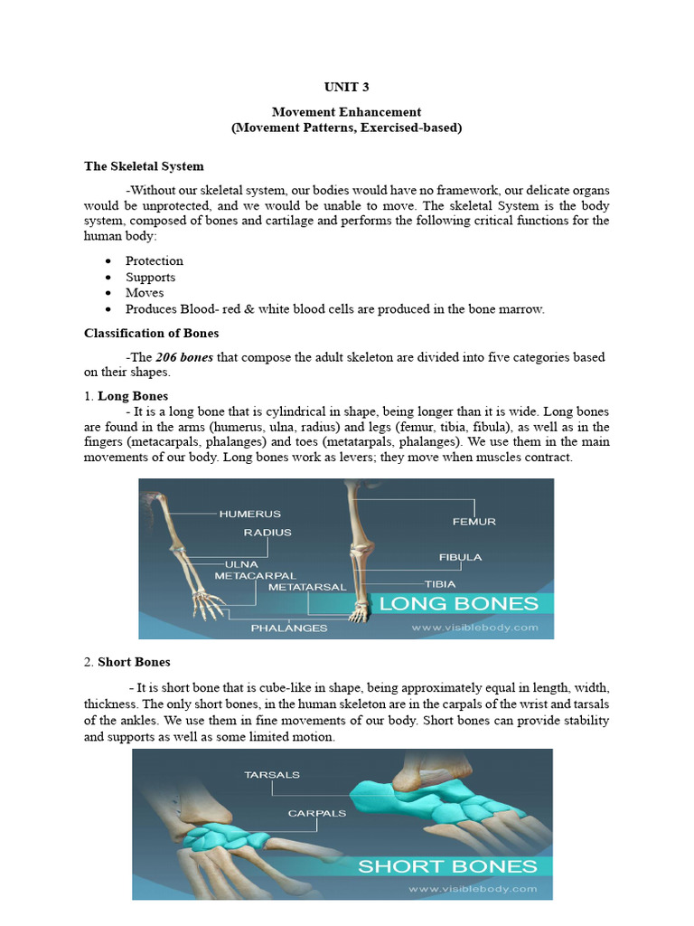 Unit 3 Movement Enhancement | PDF | Anatomical Terms Of Motion | Anatomy