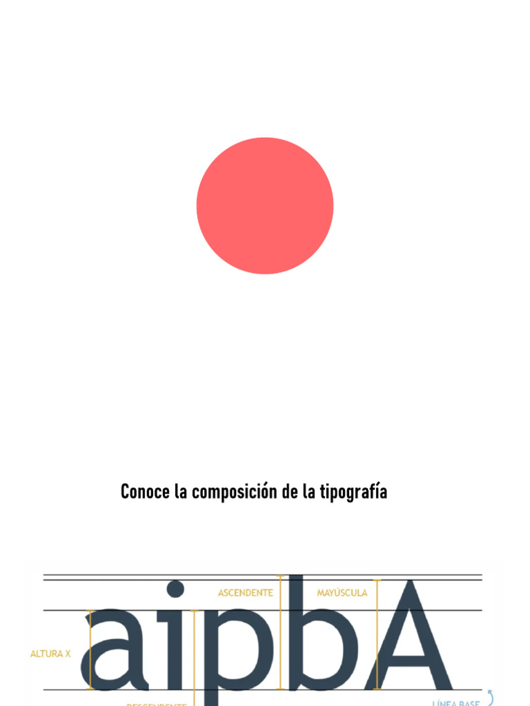 Tipoo | PDF