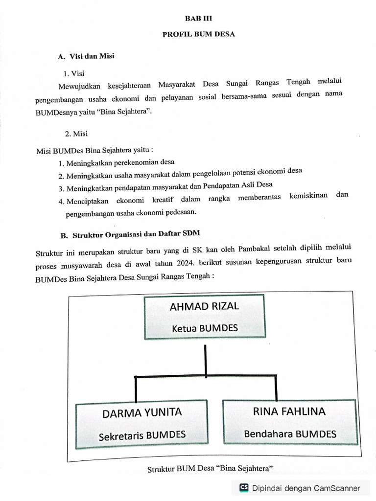 Struktur Bumdes | PDF