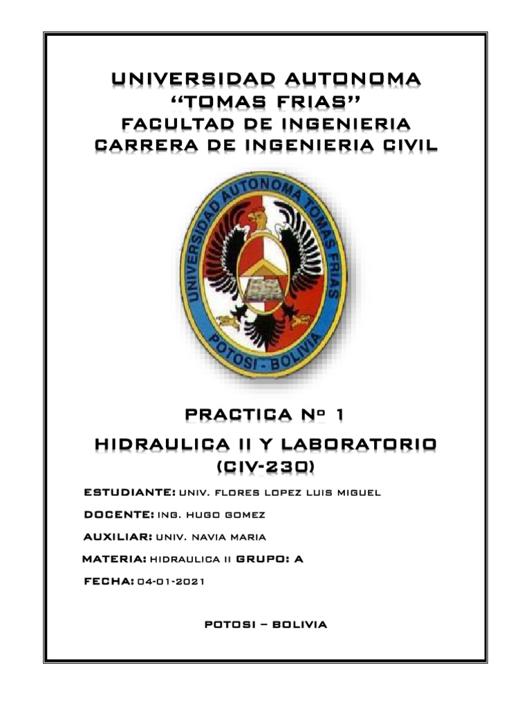 P-1 Luis Miguel Flores Lopez | PDF | Science & Mathematics