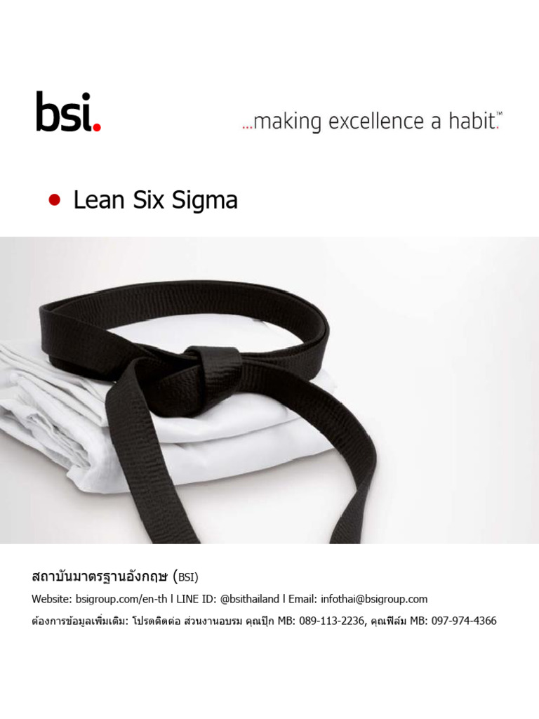 Bsi Lean Six Sigma Brochure | PDF