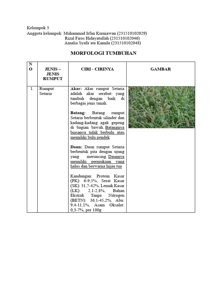 Hijauan Tugas Pak Roni Rumput | PDF