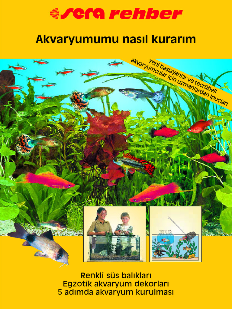 Akvaryumu Nasil Kurarim | PDF