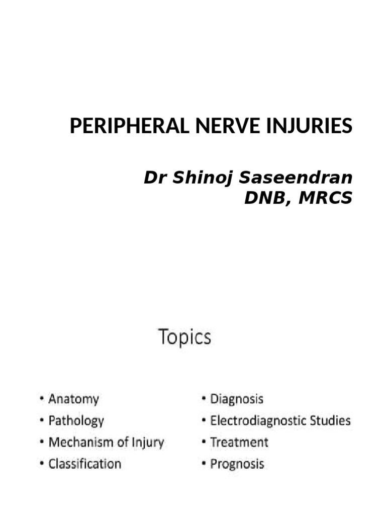Peripheral Nerves | PDF
