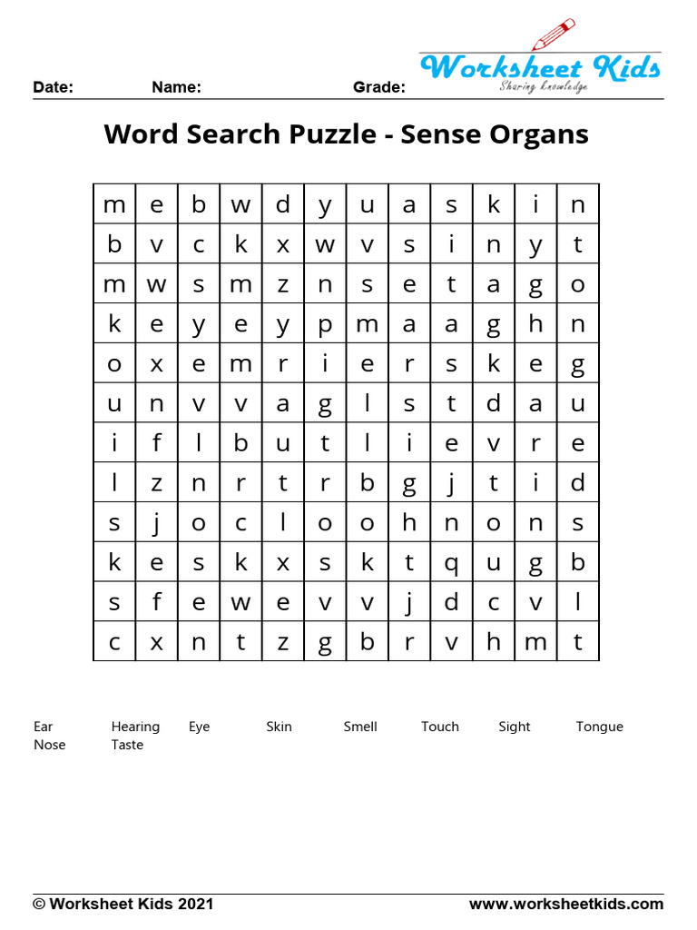 Five Sense Organs Word Search Puzzle | PDF