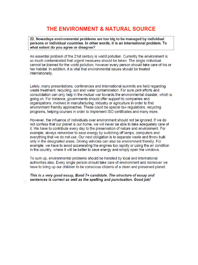 Sample Essay - Envior | PDF
