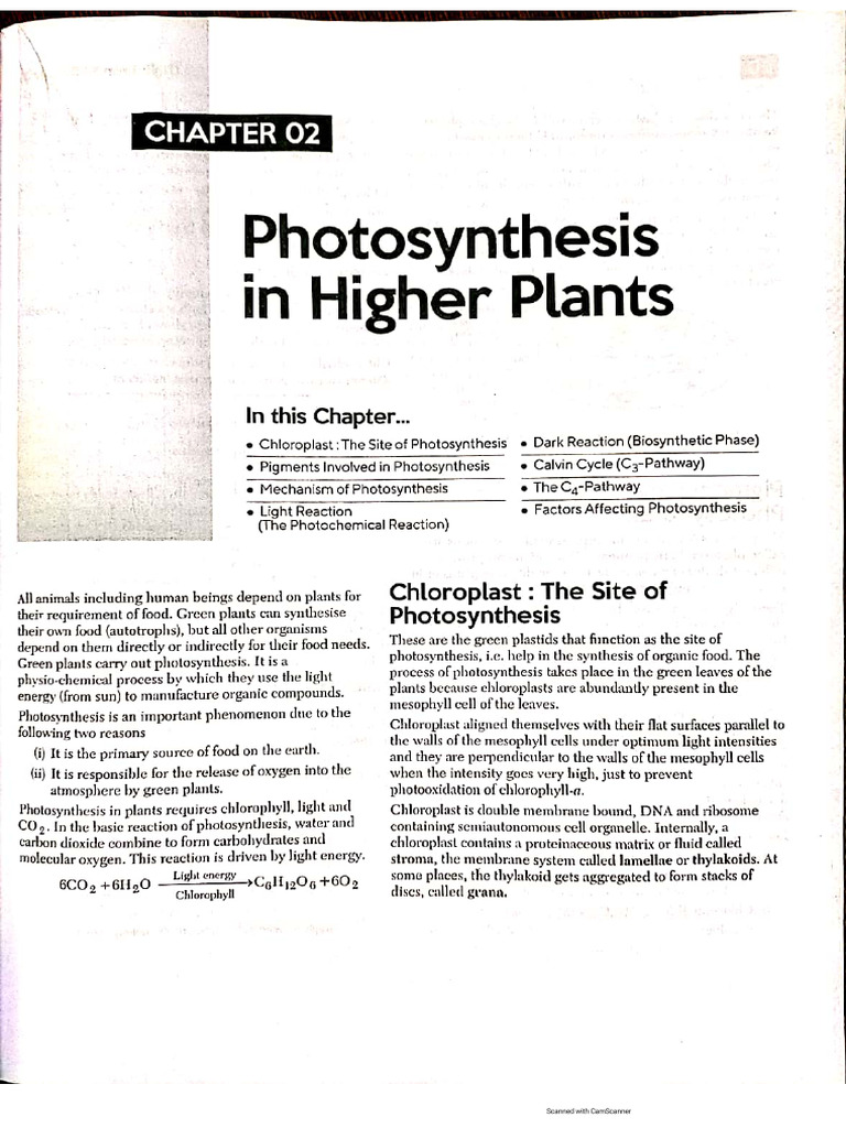 Photosynthesis 11 Notes NCERT | PDF