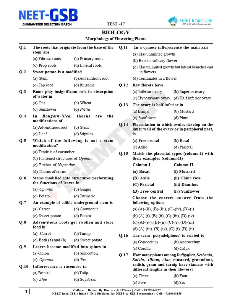 Morphology of Flowering Plants GSB Test-17 (@urstrulyrm) | PDF