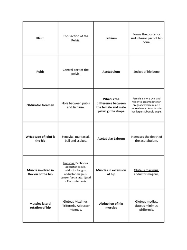 Lower Body Cue Cards | PDF