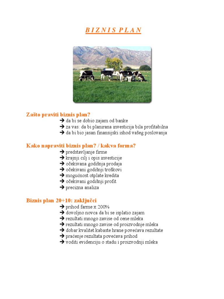 Biznis Plan Primer | PDF