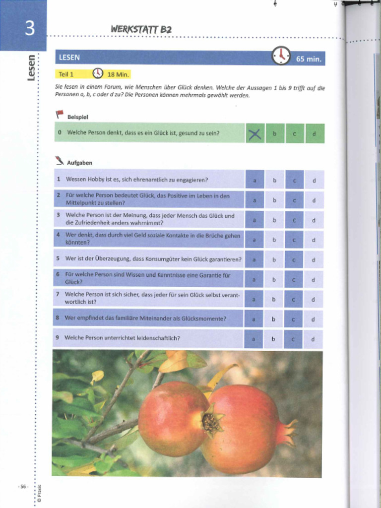 Werkstatt B2 Lehrbuch LESEN 2 | PDF