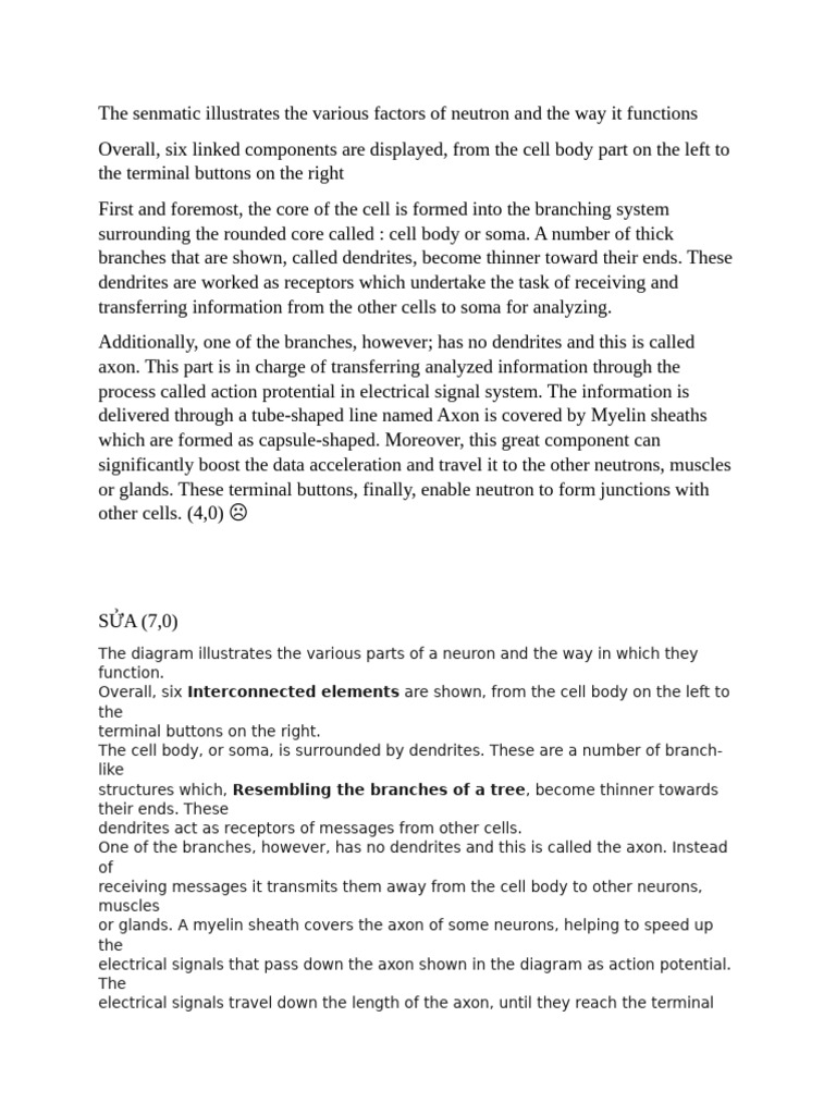 Task 1. The Diagram Shows The Components of A Neuron and How It Works | PDF