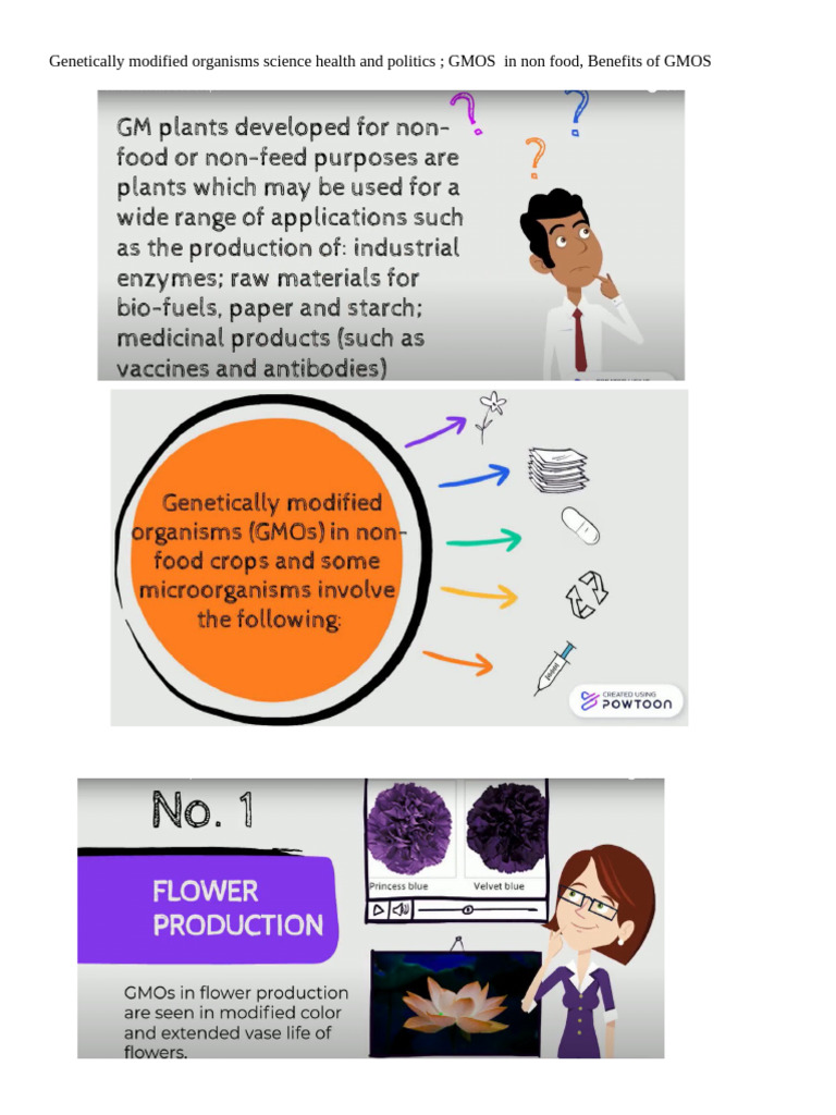 GMOS in Non Food Crops and Micoorganism (Romano) | PDF