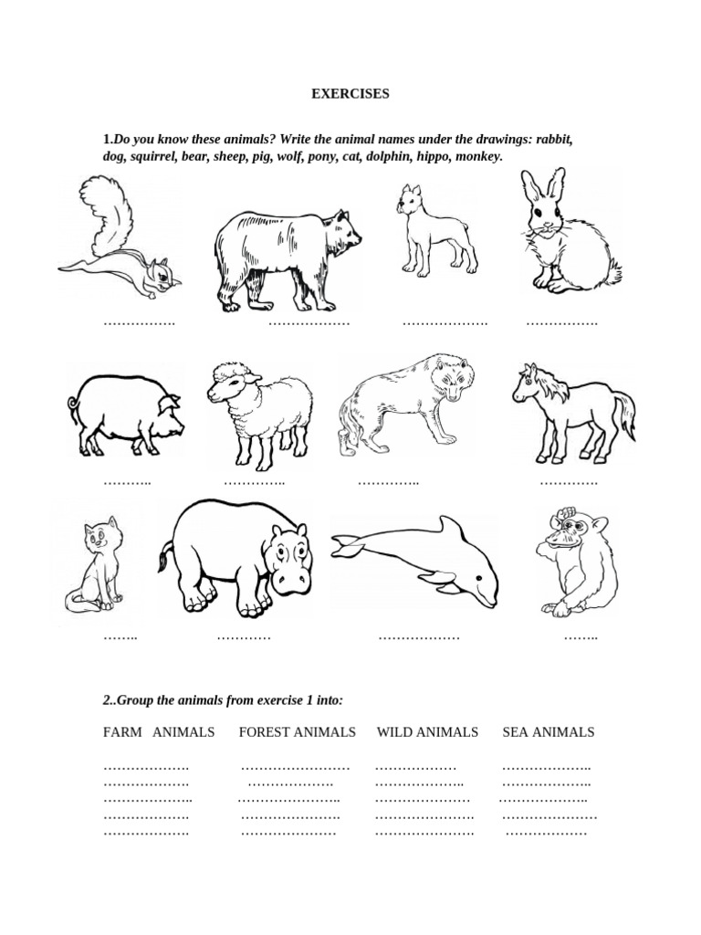 Wild Animals | PDF