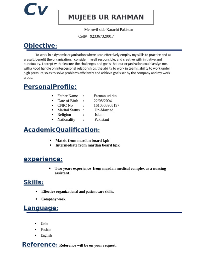 Ubaid CV | PDF