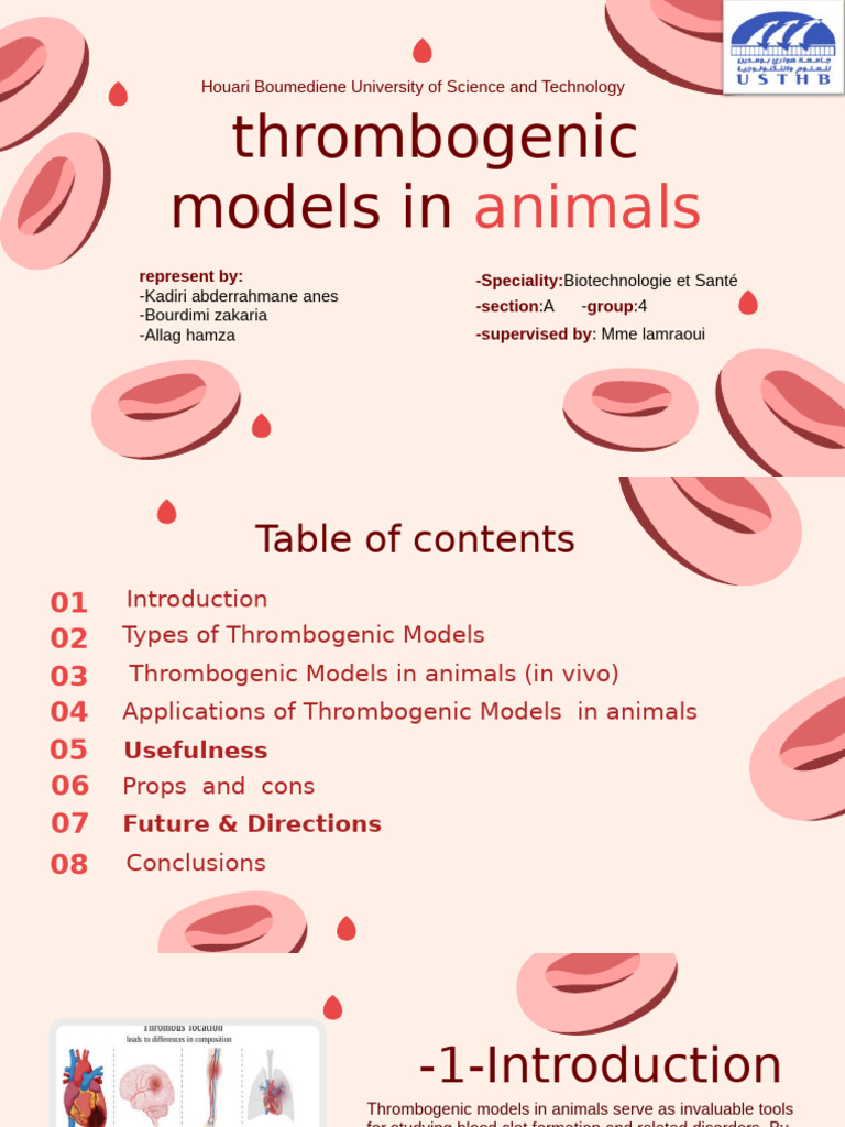 Thrombogenic Models in Animals .3 | PDF