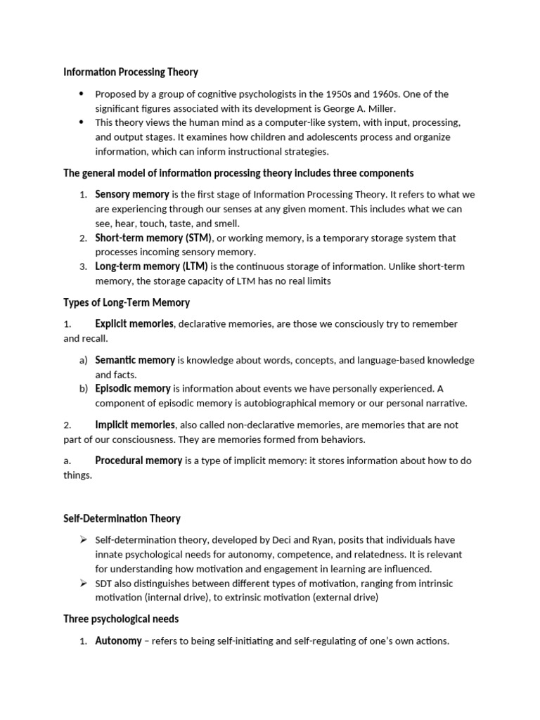 Information Processing Theory | PDF | Memory | Long Term Memory