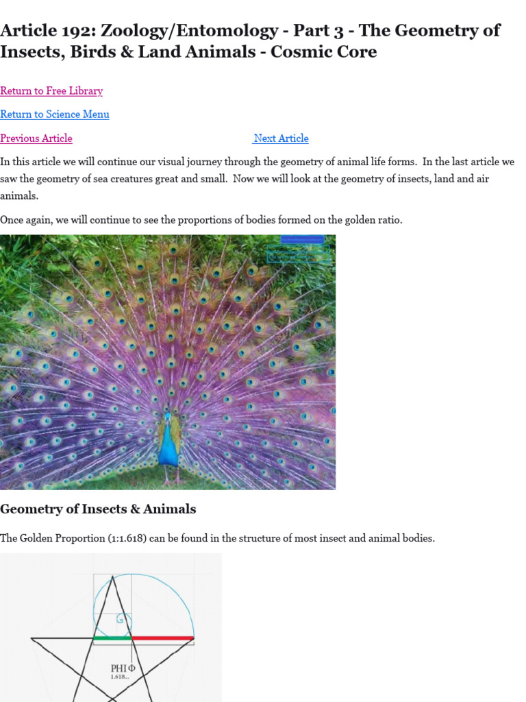 Zoology - Entomology - The Geometry of Insects, Birds & Land Animals ...