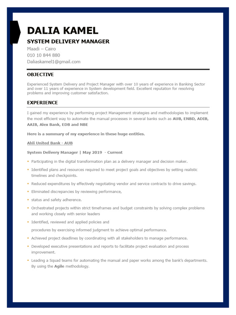 Dalia Kamel CV 2 | PDF