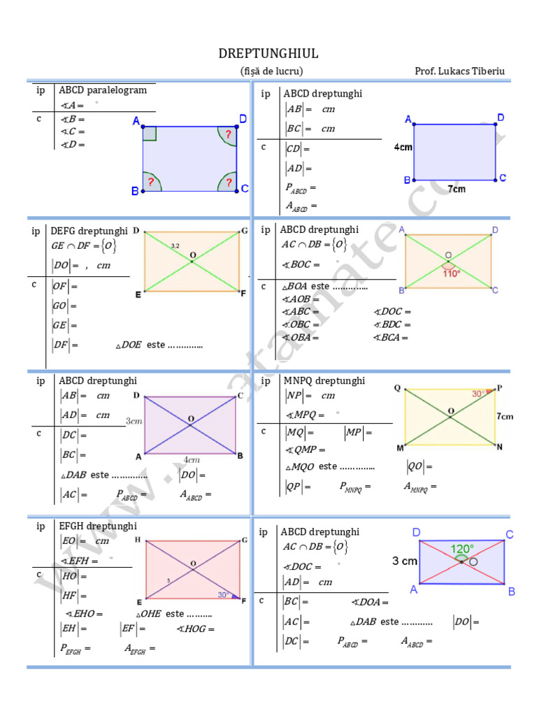 DREPTUNGHIUL Probleme | PDF