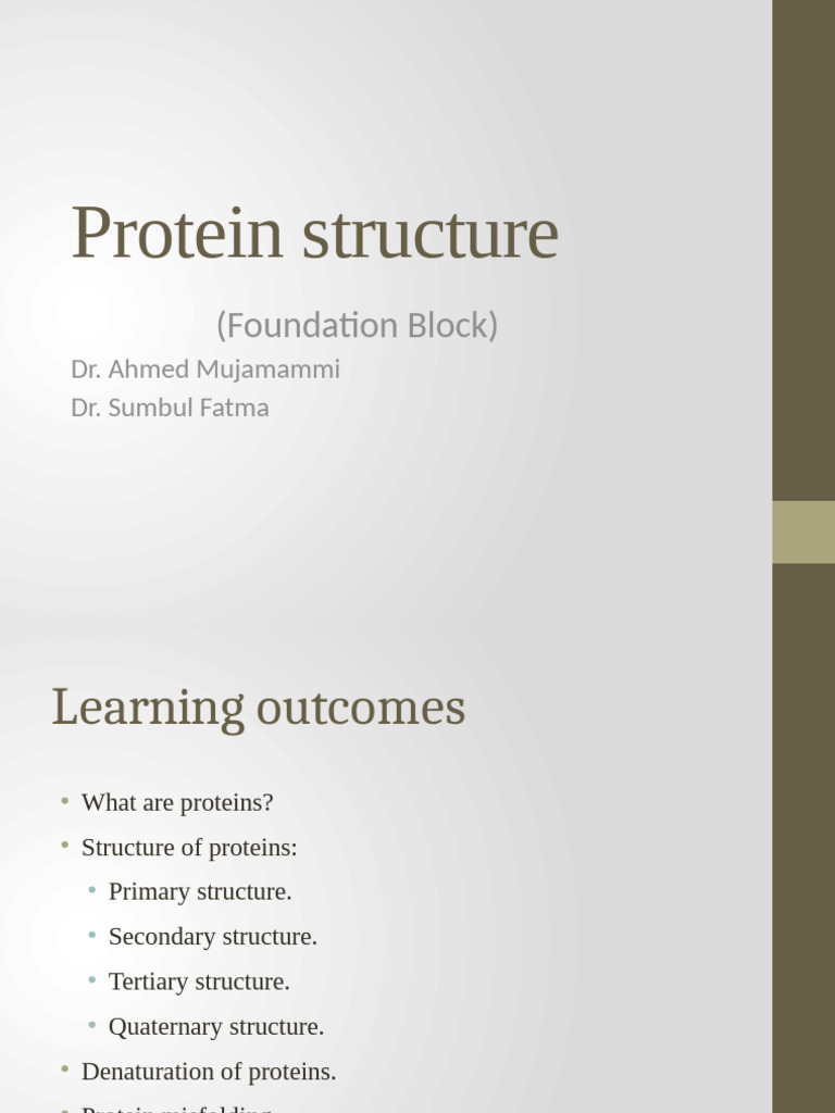 2 Protein Structure | PDF