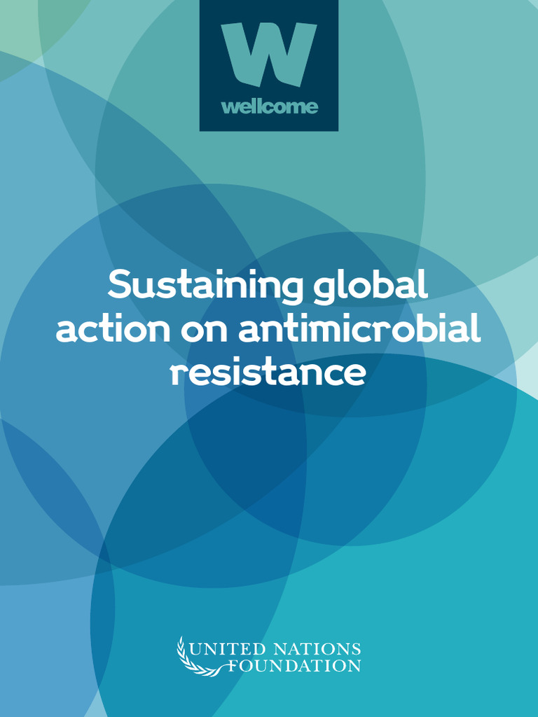 Sustaining Global Action On Antimicrobial Resistance | PDF