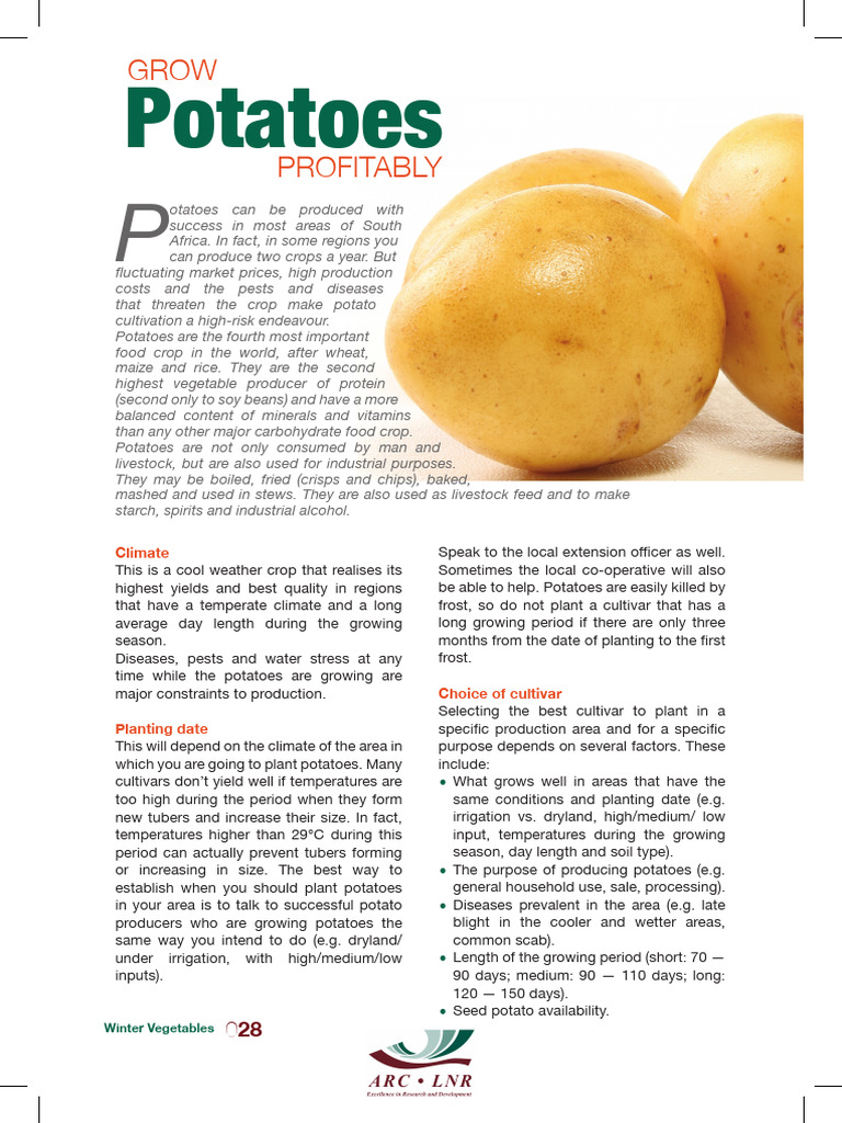 Profitable Potatoes | PDF | Potato | Pest (Organism)