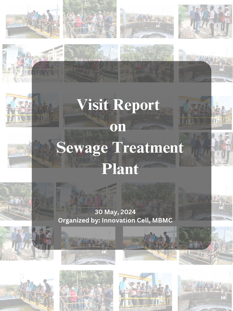 STP Visit Report | PDF