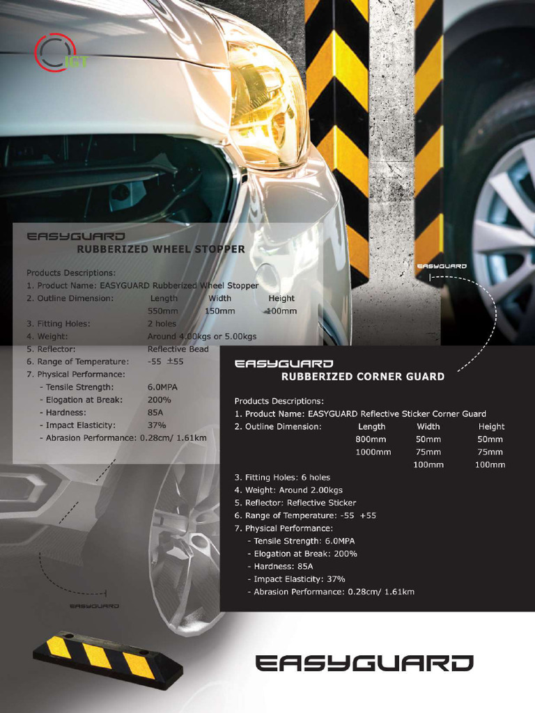 EasyGuard Flyer | PDF