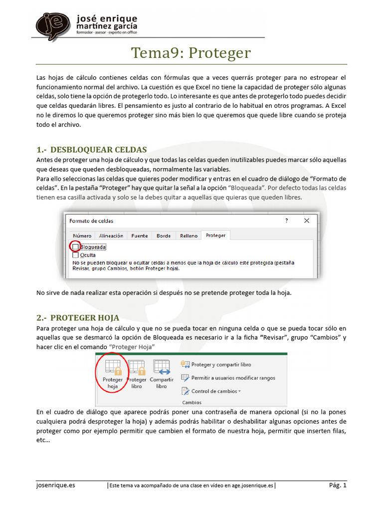 Tema9 Proteger | PDF