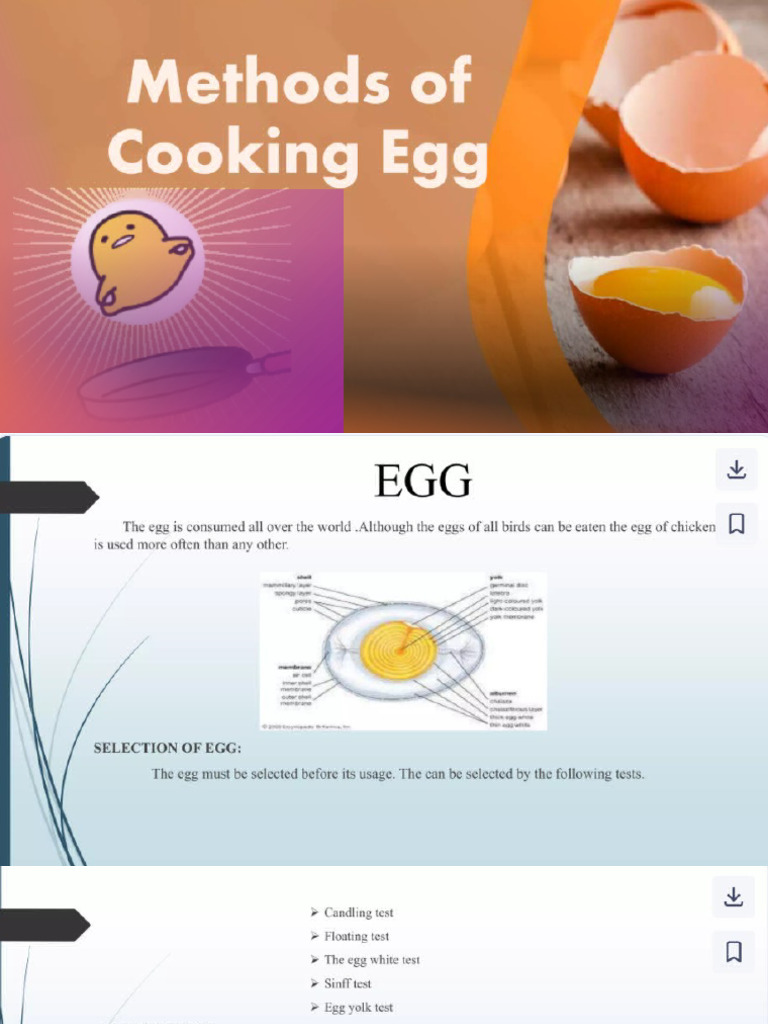 EGG | PDF