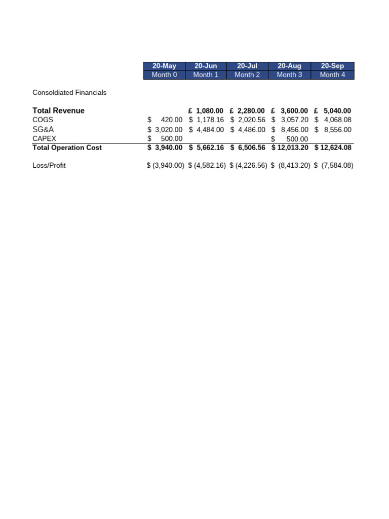 Financial Model | PDF