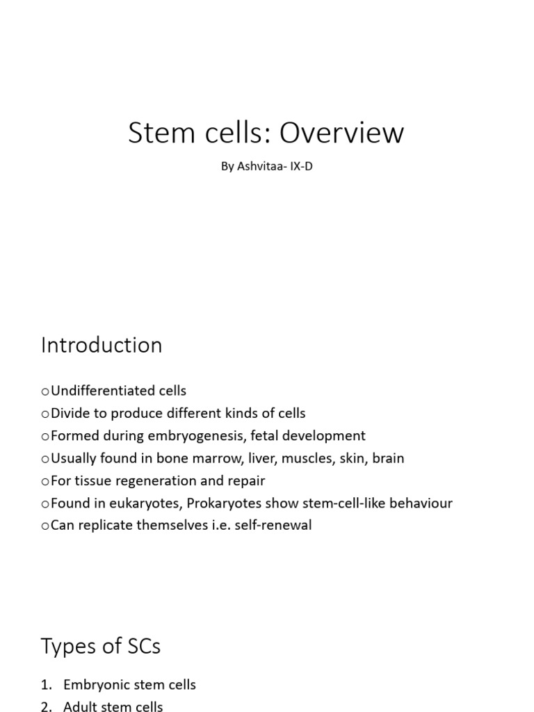 Stem Cells | PDF