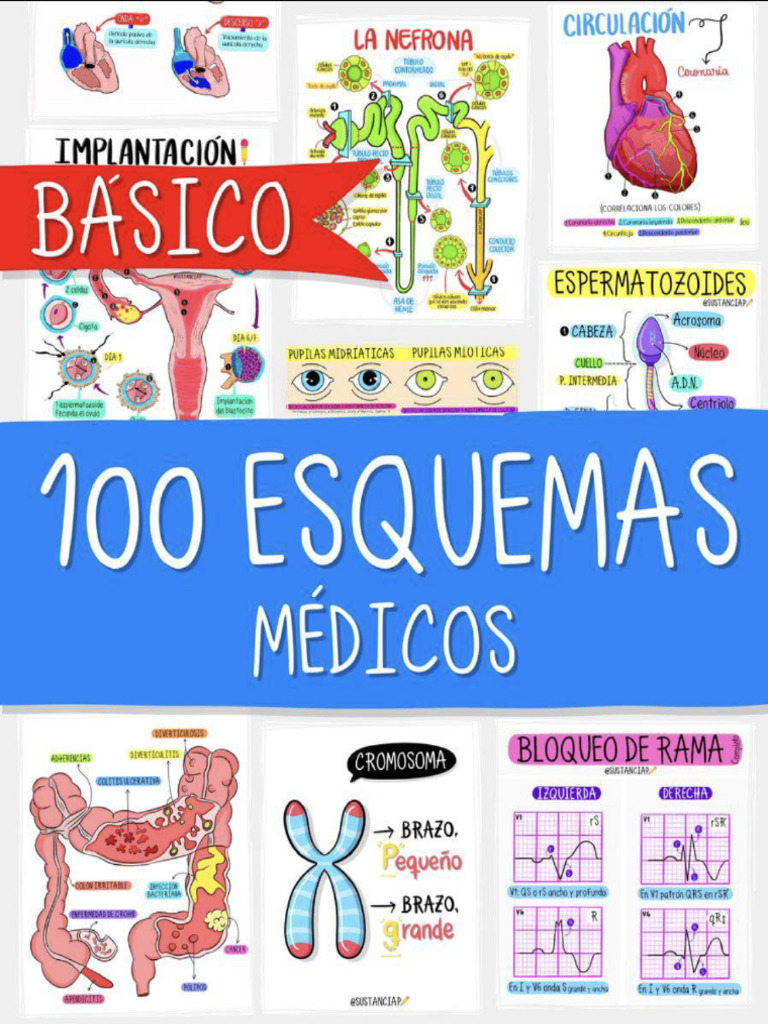 100 Esquemas Médicos | PDF