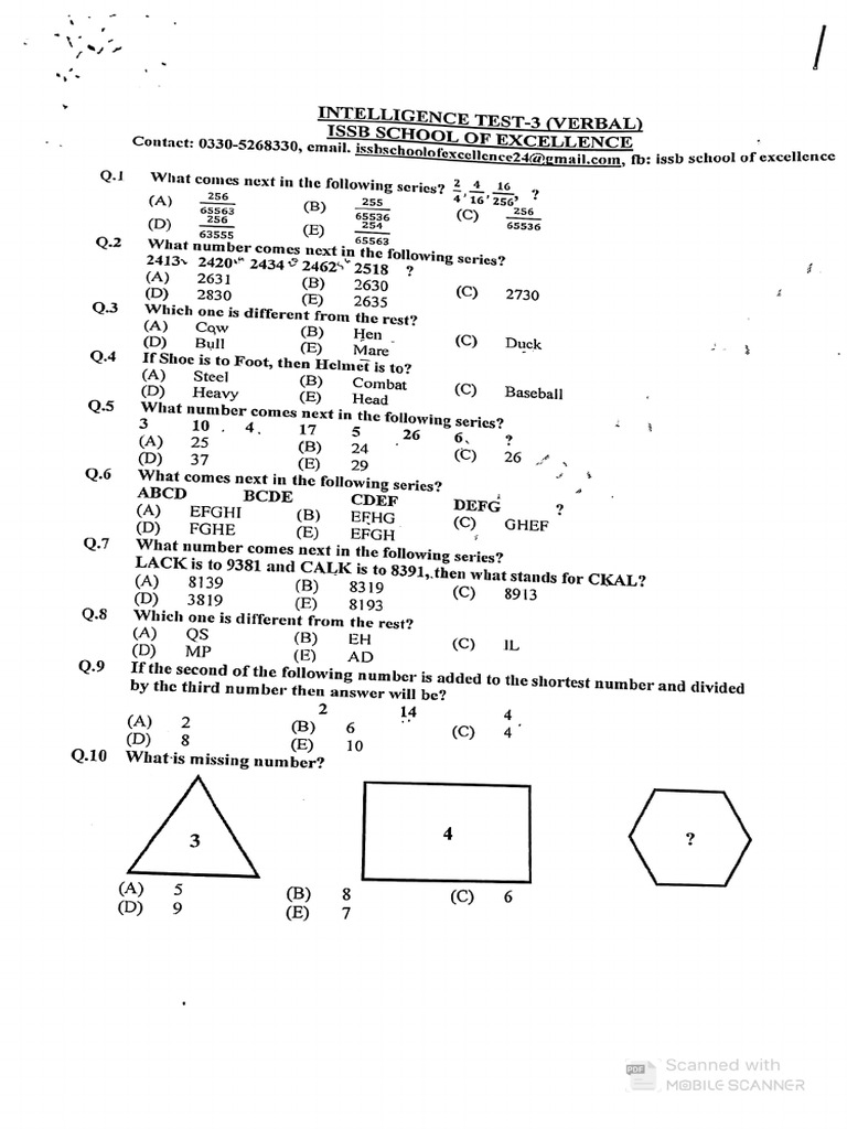 Intelligence Test (3) (Verbal) | PDF