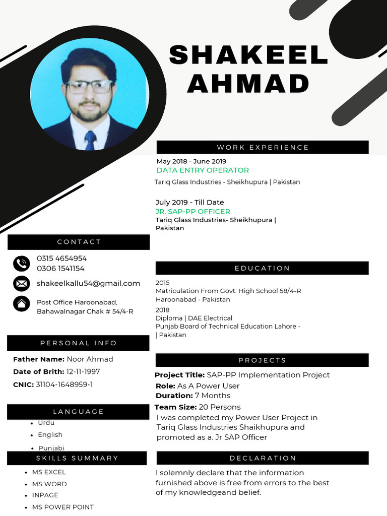 Shakeel CV | PDF