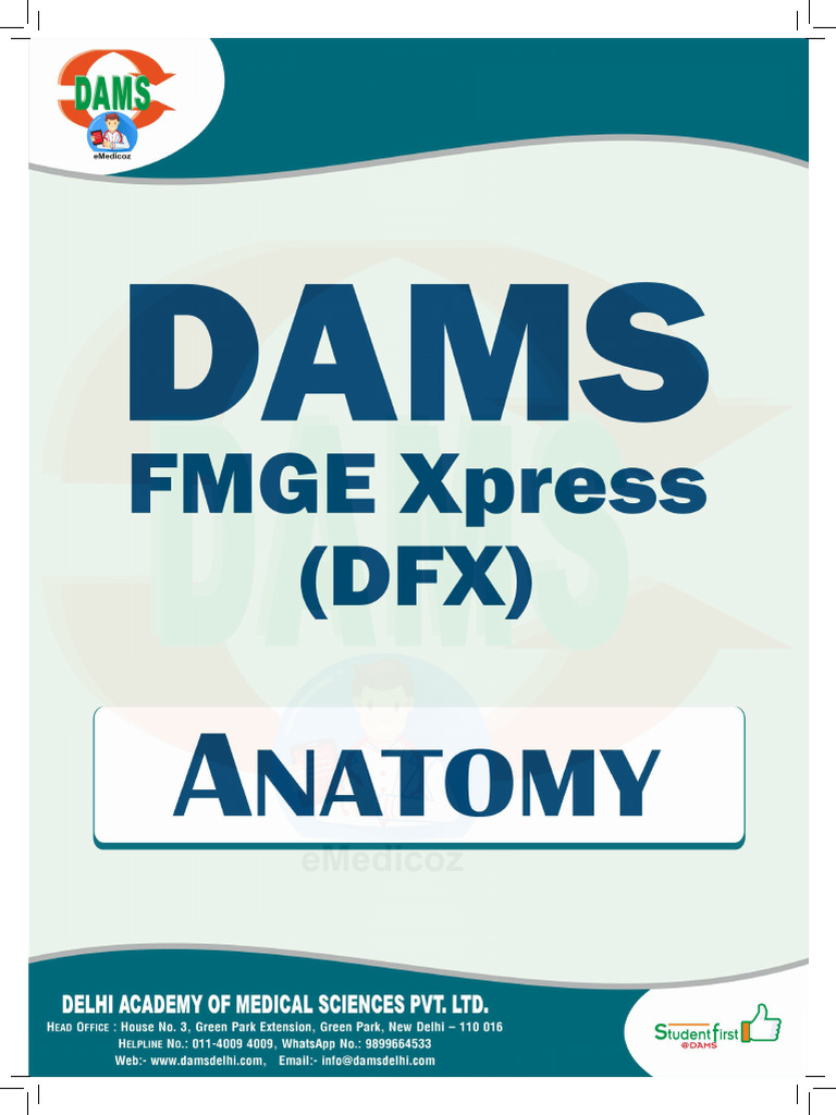 DFX - Workbook - Anatomy 2024 | PDF