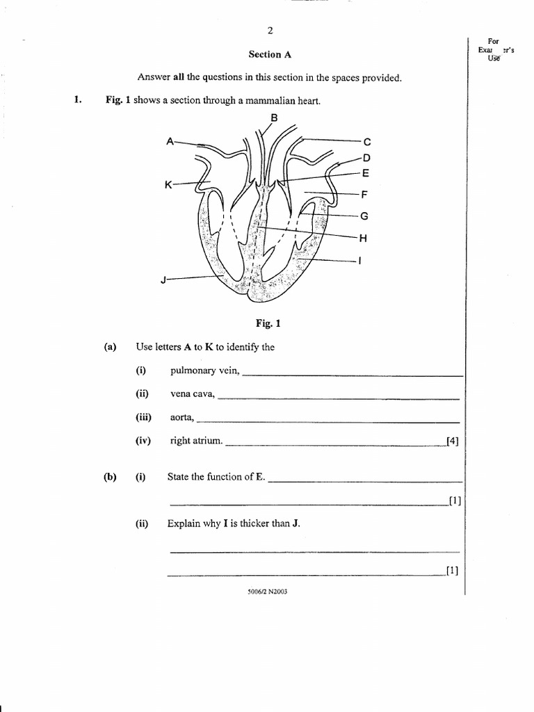 Combined Science | PDF