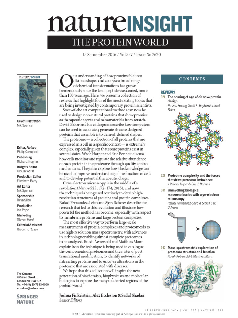 Insight: The Protein World | PDF