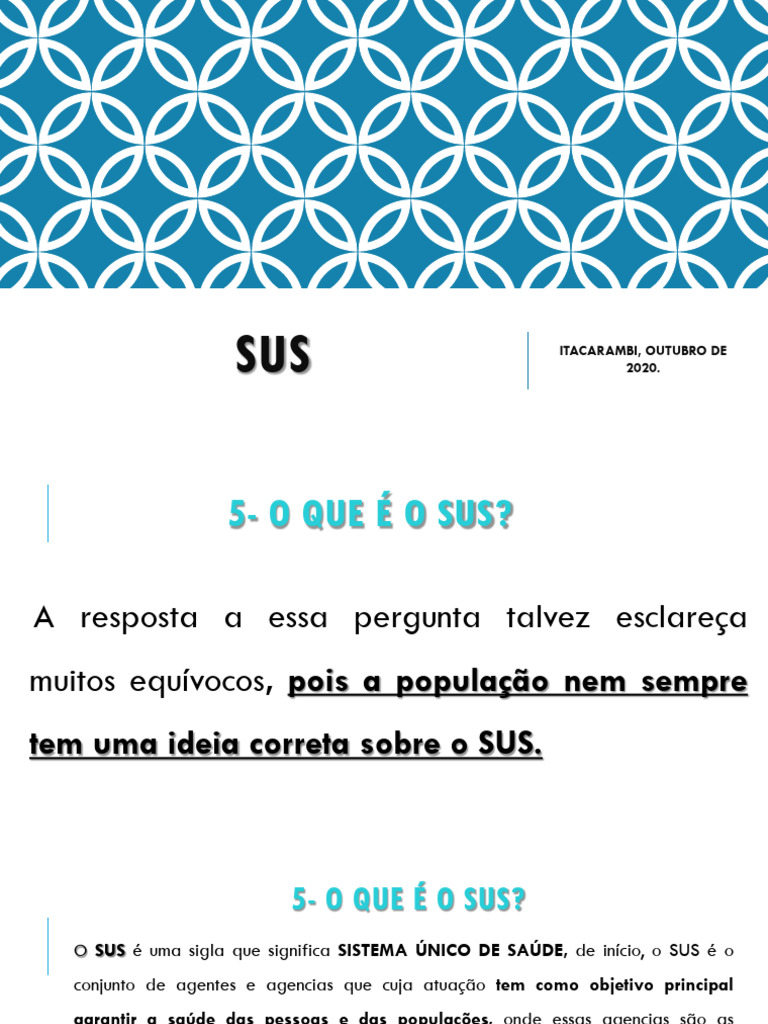 Aula 03 - Sus | PDF