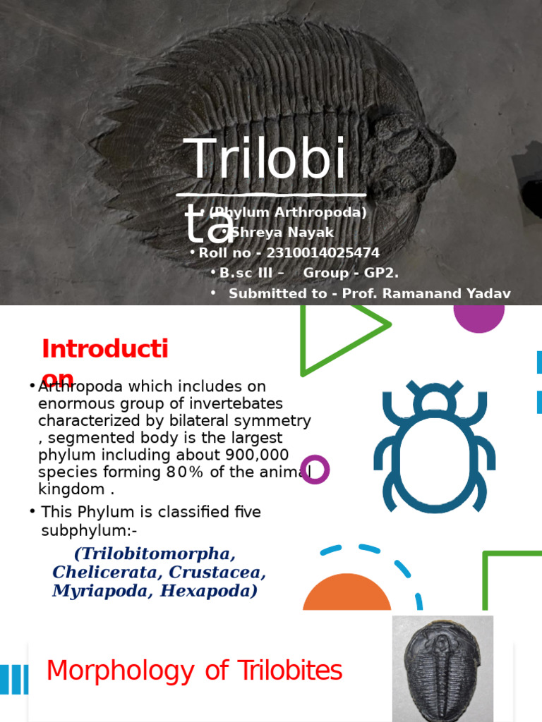 Presentation 2 | PDF