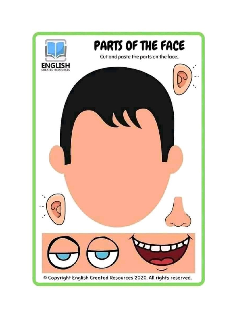 Parts of The Face - Cut and Paste | PDF