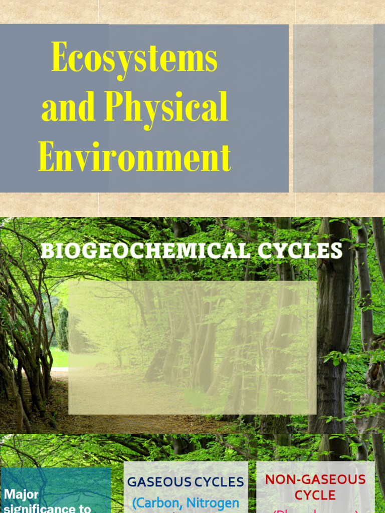 Biogeochemical Cycles | PDF