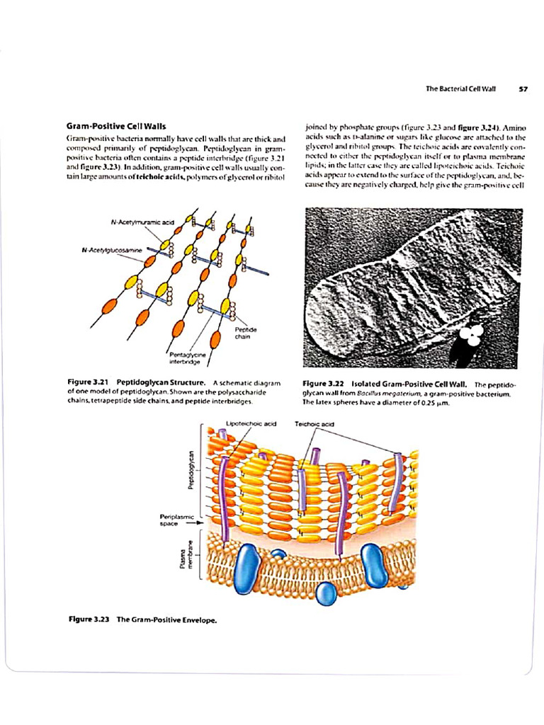 III Sem. Practical File 3 | PDF